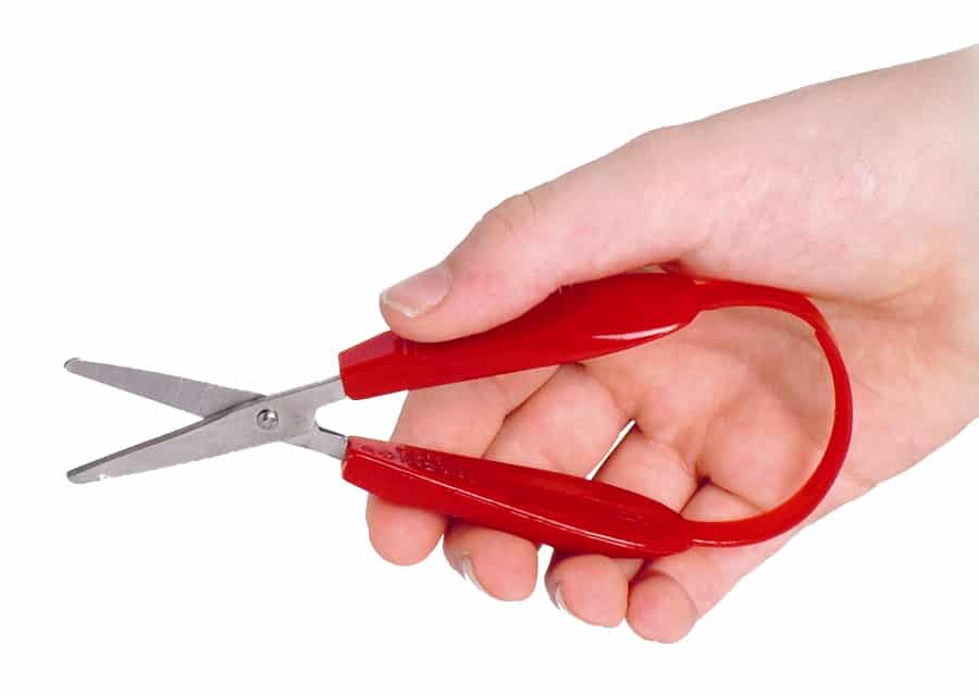 Spinning Tops (3 for $3) - Sue Larkey