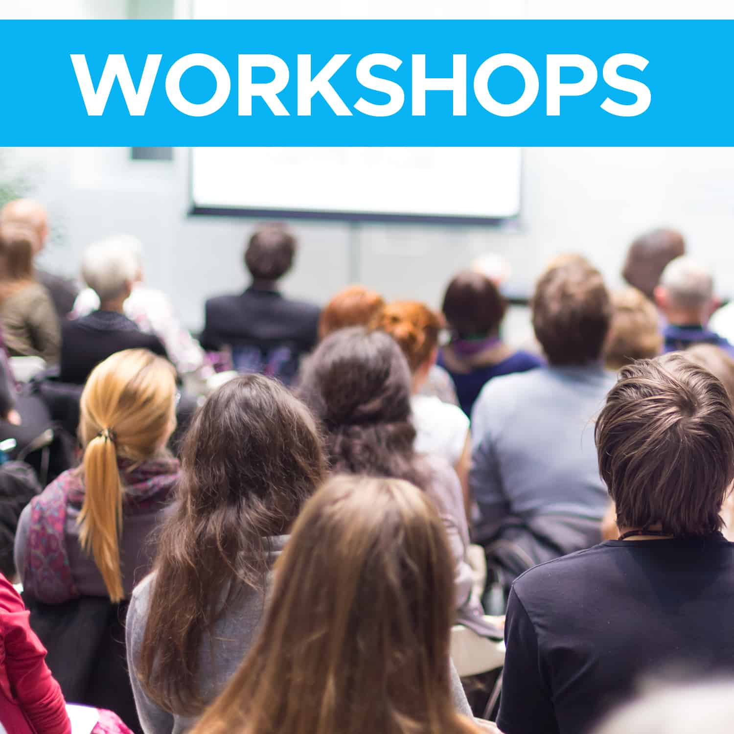 Free Tip Sheet - Sue Larkey