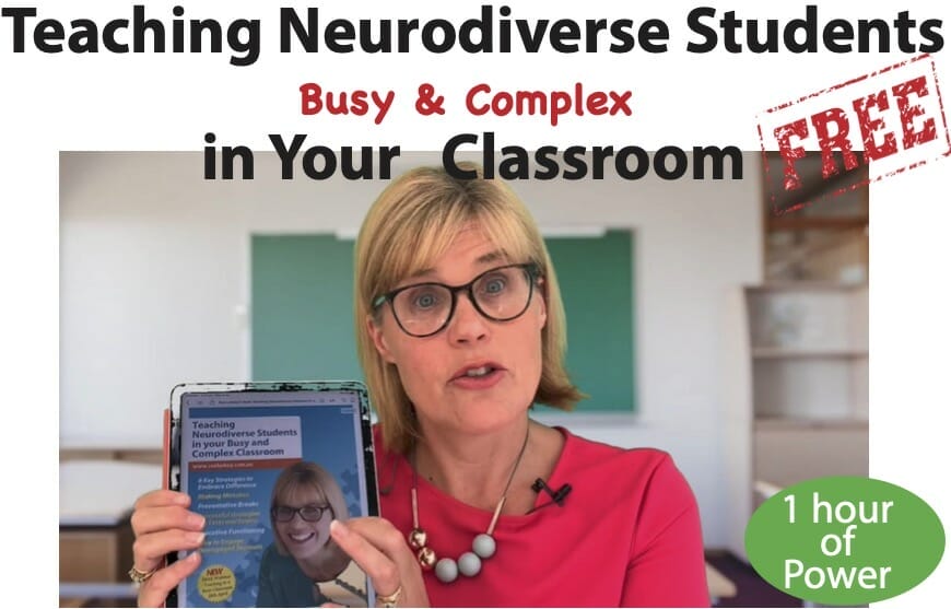 Teaching Neurodiverse Students - Sue Larkey