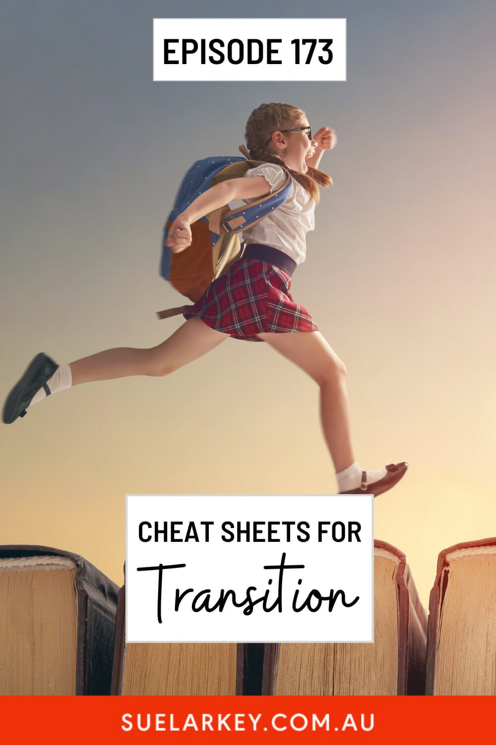 Cheat Sheets for Transition - Sue Larkey