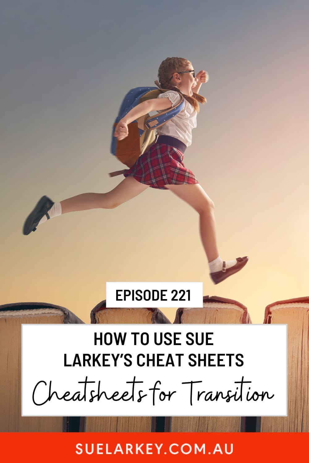 Cheat Sheets for Transition - Sue Larkey