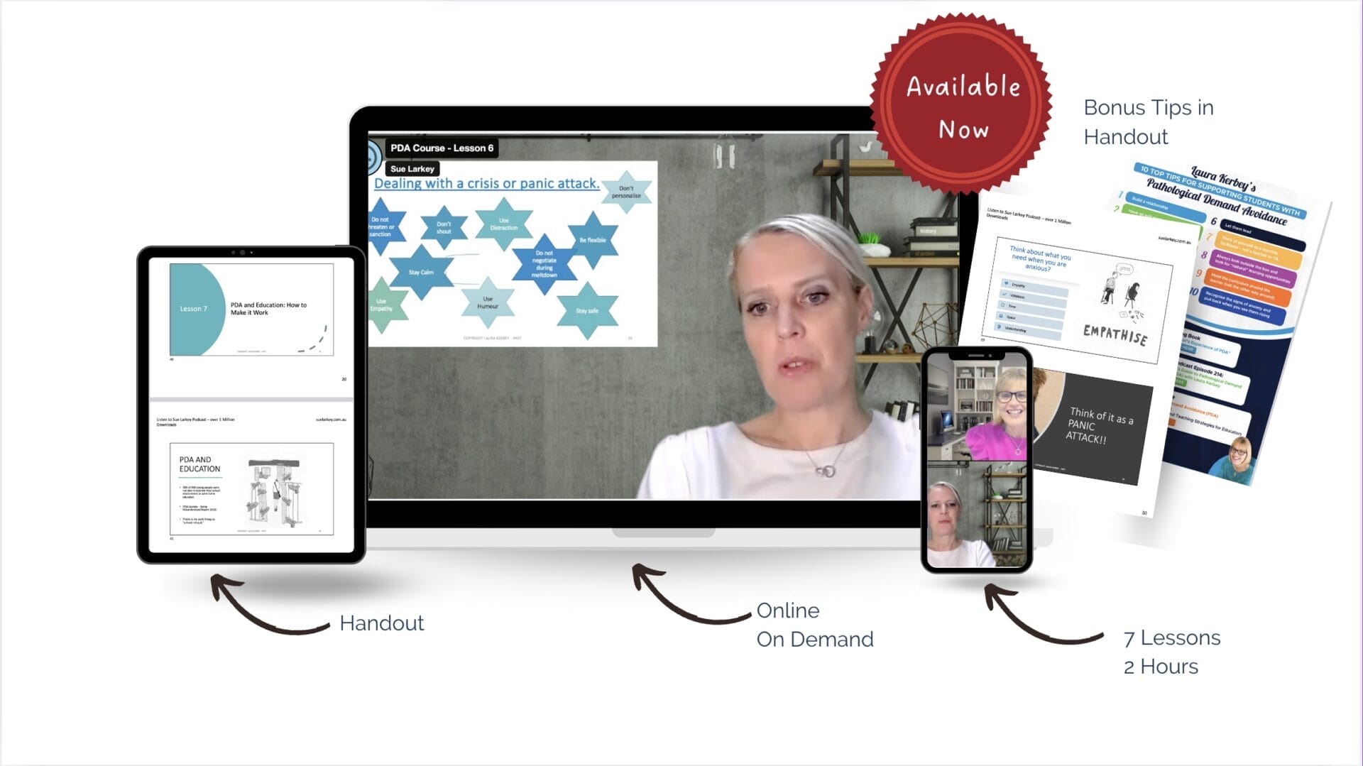 Pathological Demand Avoidance (PDA) Training - Sue Larkey