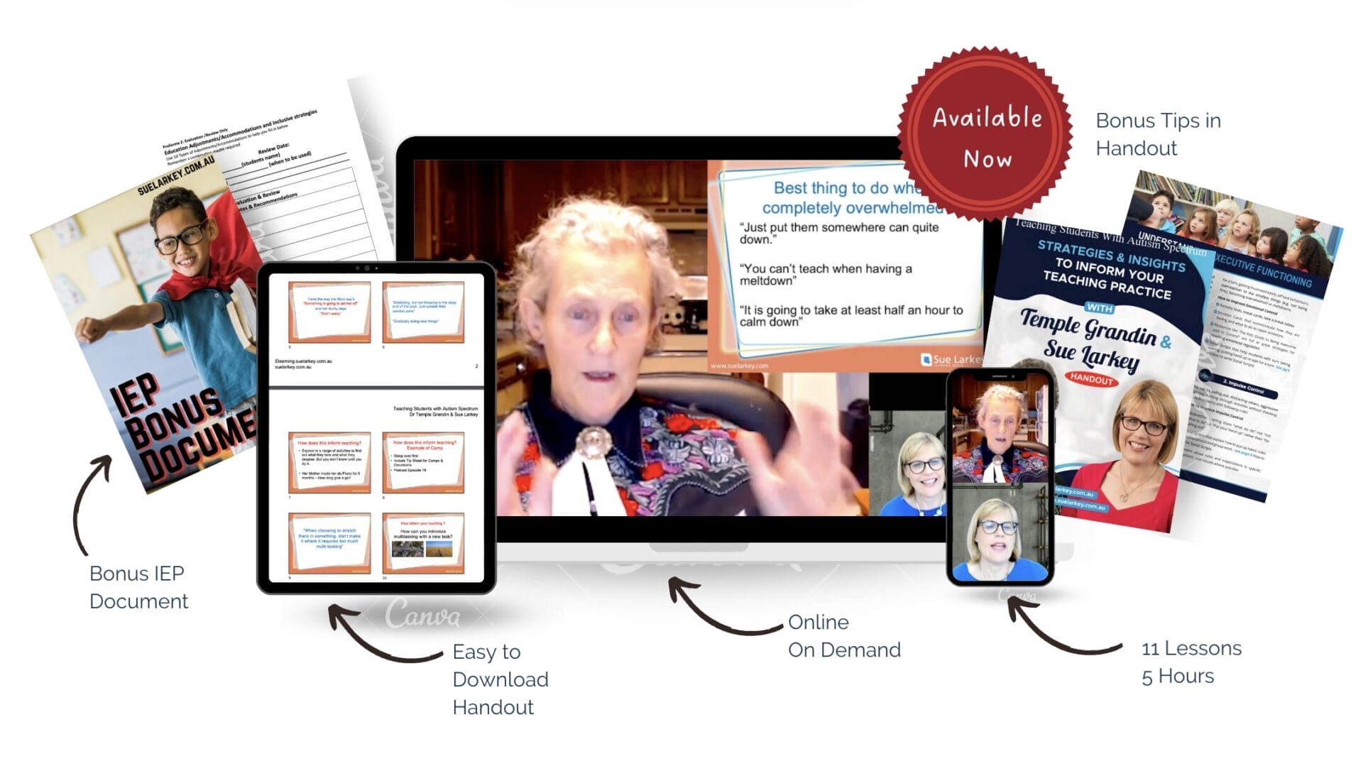 Teaching Students With Autism - Sue Larkey