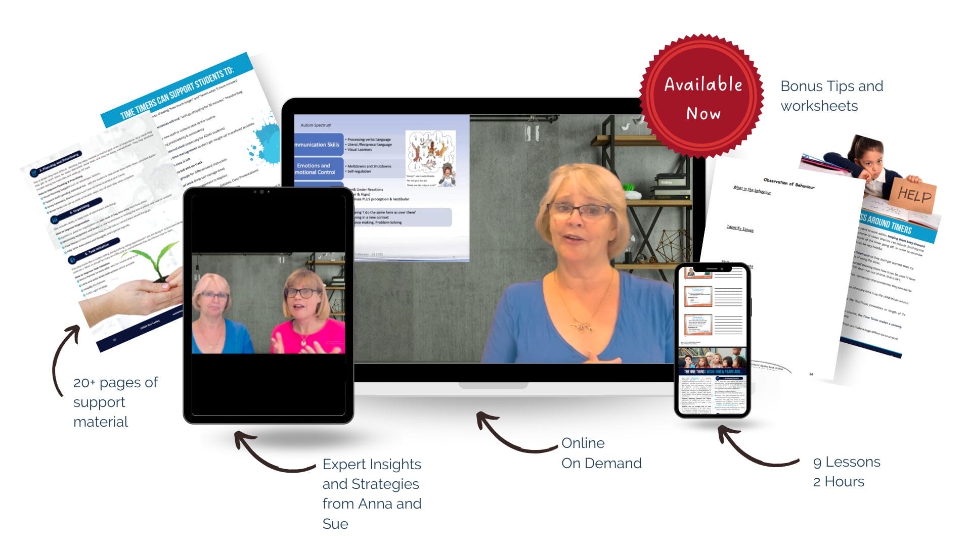 Behaviour Strategies for Teacher Assistants - Sue Larkey