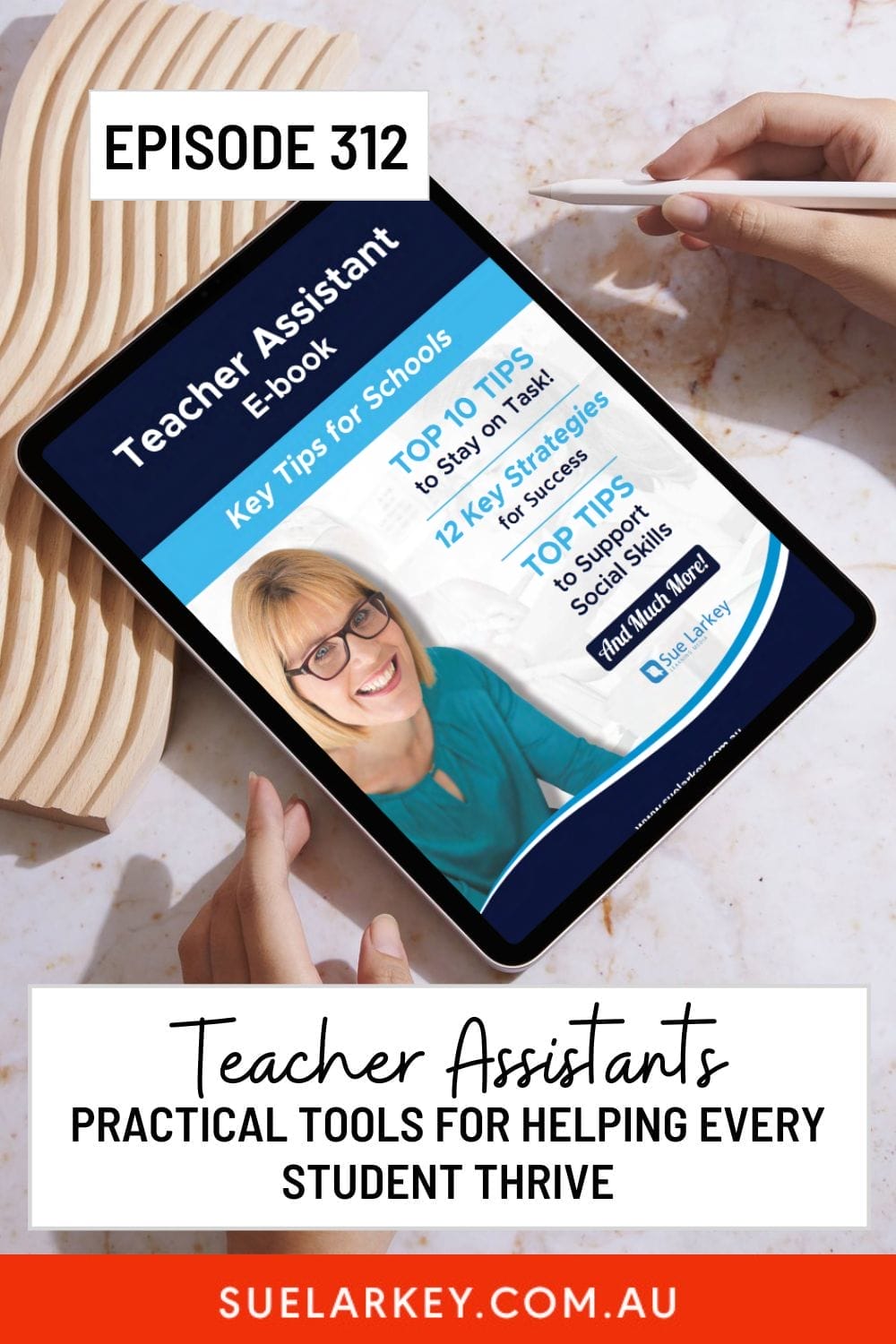 Teacher Assistant Neurodiverse Support Strategies - Sue Larkey